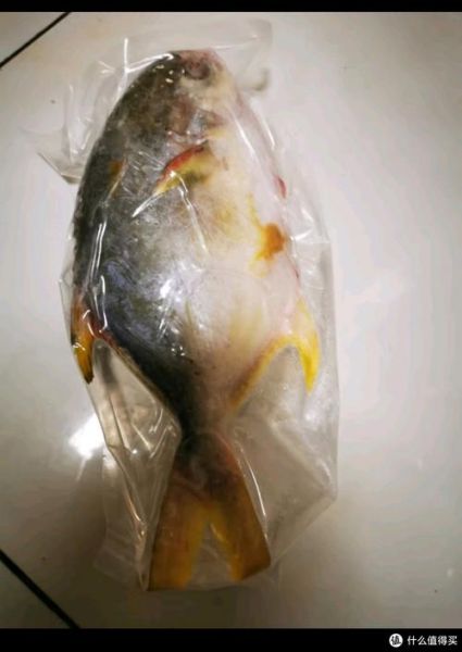 金昌鱼的营养价值_金昌鱼的功效与作用-第1张图片-山城妙识 金昌鱼的营养价值_金昌鱼的功效与作用-第1张图片-山城妙识