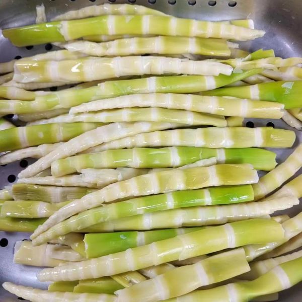 春笋图片高清图_如何挑选新鲜春笋-第1张图片-山城妙识 春笋图片高清图_如何挑选新鲜春笋-第1张图片-山城妙识