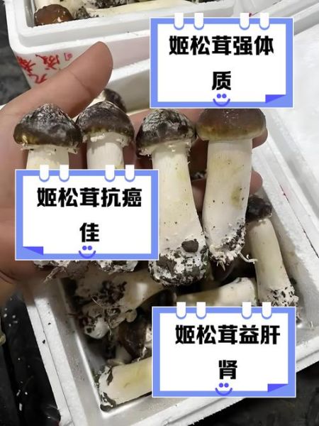 姬松茸对儿童的危害_儿童能吃姬松茸吗-第1张图片-山城妙识 姬松茸对儿童的危害_儿童能吃姬松茸吗-第1张图片-山城妙识
