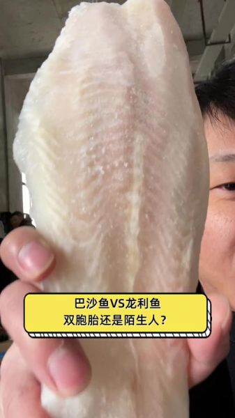 龙利鱼和巴沙鱼一样吗_区别与选购指南-第3张图片-山城妙识 龙利鱼和巴沙鱼一样吗_区别与选购指南-第3张图片-山城妙识