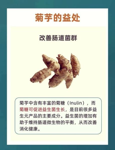 菊芋的功效与作用_菊芋能降血糖吗-第1张图片-山城妙识