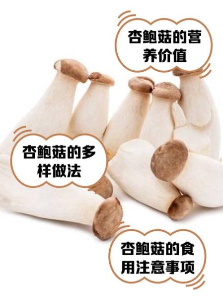 杏鲍菇怎么洗_杏鲍菇清洗的正确方法-第3张图片-山城妙识