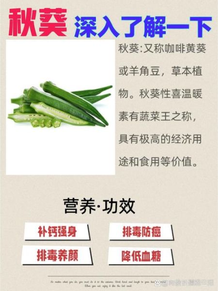 秋葵是致癌还是抗癌_秋葵抗癌真相-第3张图片-山城妙识