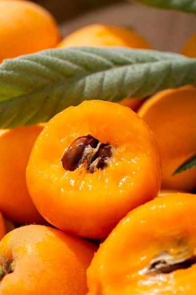 端午节吃什么水果_端午节水果推荐-第3张图片-山城妙识