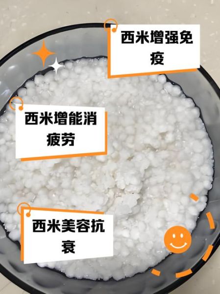 西米是种出来的吗_西米原料来源-第1张图片-山城妙识 西米是种出来的吗_西米原料来源-第1张图片-山城妙识