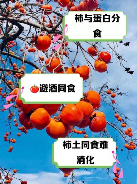 柿子不能和什么同食_哪些食物与柿子相克-第2张图片-山城妙识