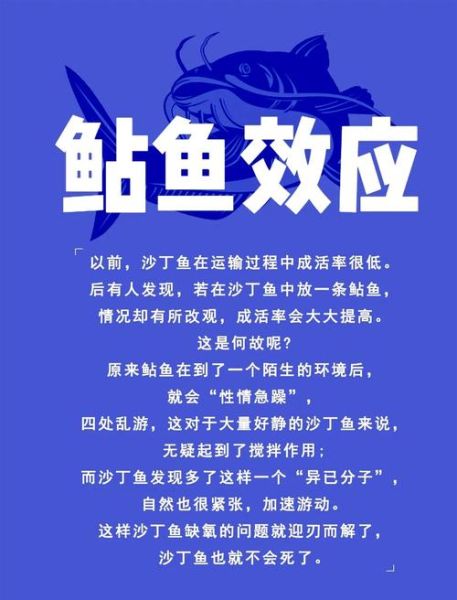 什么是鲢鱼效应_如何运用鲢鱼效应管理团队-第1张图片-山城妙识 什么是鲢鱼效应_如何运用鲢鱼效应管理团队-第1张图片-山城妙识