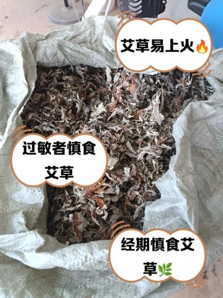 艾蒿过敏5级不能接触什么_日常禁忌清单-第2张图片-山城妙识 艾蒿过敏5级不能接触什么_日常禁忌清单-第2张图片-山城妙识