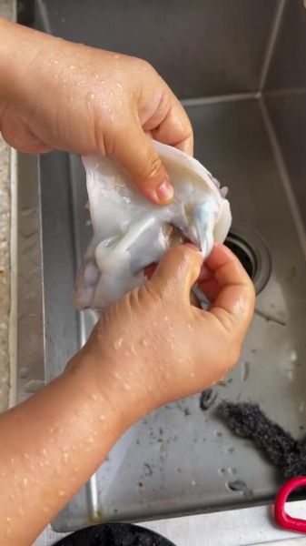 新鲜墨鱼怎么清洗_新鲜墨鱼的做法大全-第1张图片-山城妙识 新鲜墨鱼怎么清洗_新鲜墨鱼的做法大全-第1张图片-山城妙识