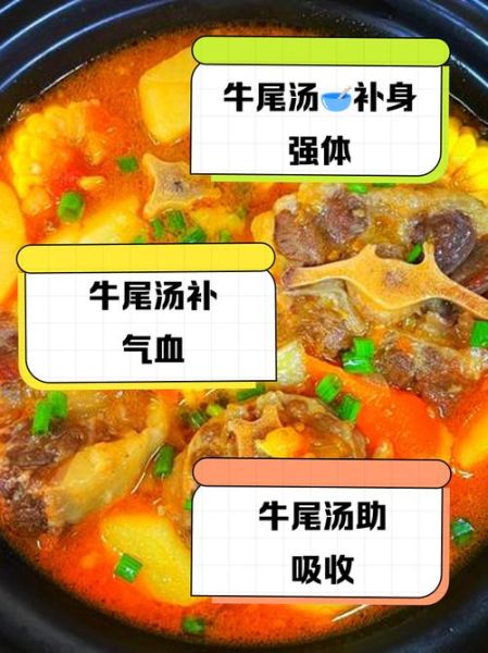 牛尾汤怎么炖才好吃_牛尾汤的功效与禁忌-第2张图片-山城妙识 牛尾汤怎么炖才好吃_牛尾汤的功效与禁忌-第2张图片-山城妙识
