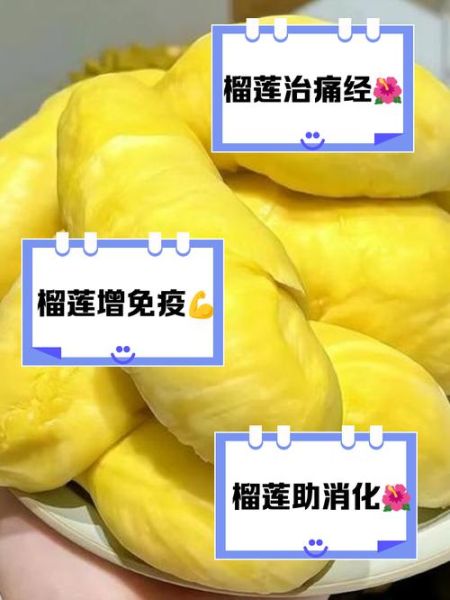 女人吃榴莲有什么好处_女人吃榴莲会发胖吗-第3张图片-山城妙识 女人吃榴莲有什么好处_女人吃榴莲会发胖吗-第3张图片-山城妙识