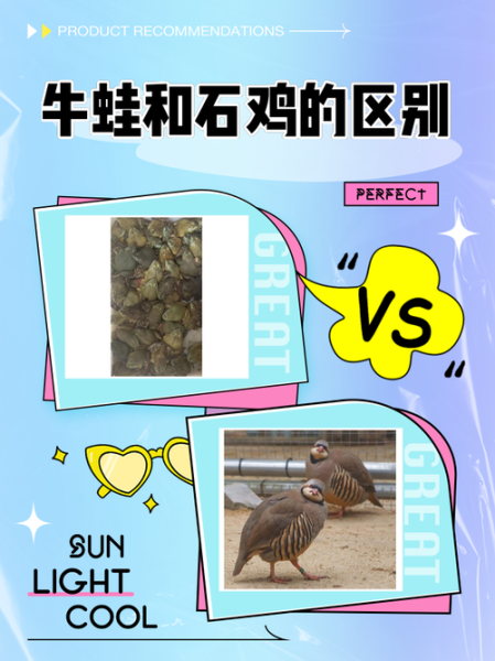 石蛙和田鸡的区别图片_石蛙和田鸡怎么区分-第1张图片-山城妙识 石蛙和田鸡的区别图片_石蛙和田鸡怎么区分-第1张图片-山城妙识