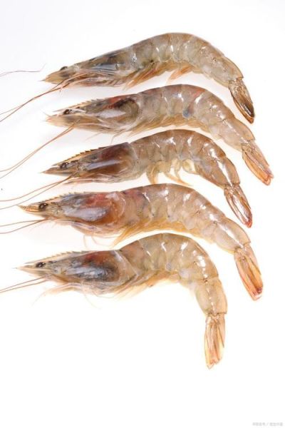 大虾图片大全大图_如何挑选高清无水印素材-第3张图片-山城妙识 大虾图片大全大图_如何挑选高清无水印素材-第3张图片-山城妙识