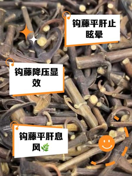 钩藤的副作用有哪些_钩藤长期吃安全吗-第1张图片-山城妙识 钩藤的副作用有哪些_钩藤长期吃安全吗-第1张图片-山城妙识