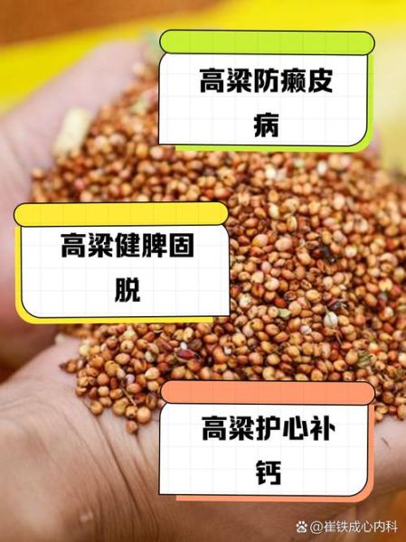 高粱的拼音怎么写_高粱拼音声调标注方法-第3张图片-山城妙识 高粱的拼音怎么写_高粱拼音声调标注方法-第3张图片-山城妙识