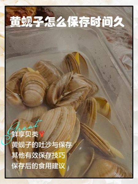 黄蚬子怎么清洗_黄蚬子怎么保存-第1张图片-山城妙识 黄蚬子怎么清洗_黄蚬子怎么保存-第1张图片-山城妙识