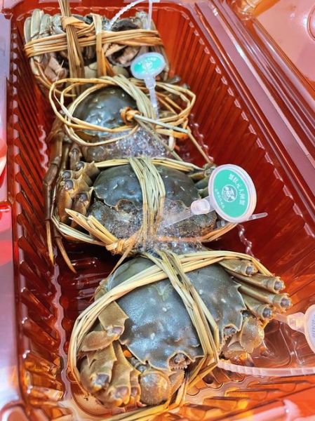 阳澄湖大闸蟹品牌哪家好_如何挑选正宗阳澄湖大闸蟹-第2张图片-山城妙识 阳澄湖大闸蟹品牌哪家好_如何挑选正宗阳澄湖大闸蟹-第2张图片-山城妙识