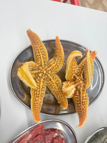 海星一人一次能吃多少_海星一次吃多少合适-第1张图片-山城妙识