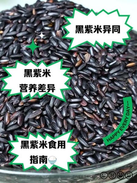 黑米怎么吃最补肾_黑米和紫米的区别-第1张图片-山城妙识 黑米怎么吃最补肾_黑米和紫米的区别-第1张图片-山城妙识