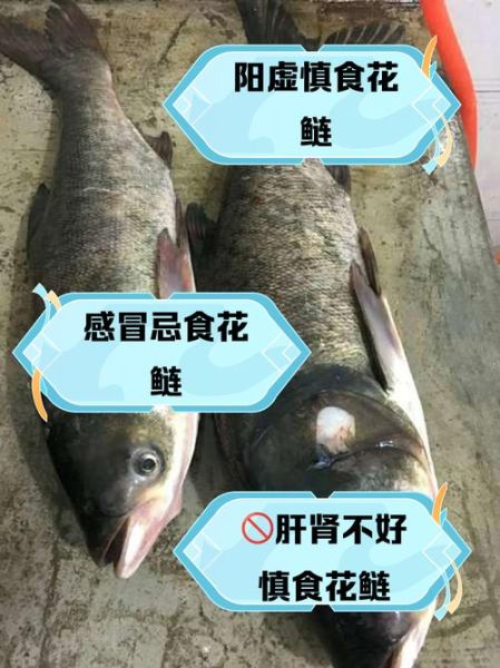 花鲢鱼的营养价值及功效与作用_花鲢鱼适合什么人吃-第2张图片-山城妙识 花鲢鱼的营养价值及功效与作用_花鲢鱼适合什么人吃-第2张图片-山城妙识