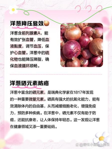 洋葱的功效与作用禁忌_洋葱怎么吃最好-第3张图片-山城妙识 洋葱的功效与作用禁忌_洋葱怎么吃最好-第3张图片-山城妙识