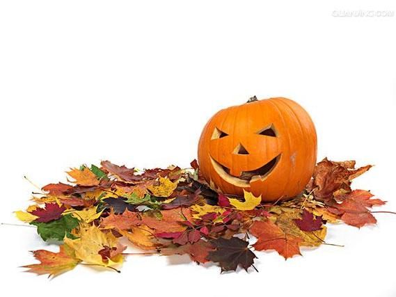 南瓜灯英语怎么读_Jack-o'-lantern发音详解-第3张图片-山城妙识