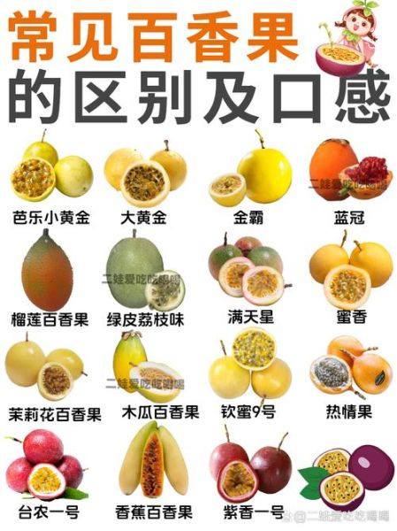 西番莲是不是百香果_区别与营养价值-第1张图片-山城妙识 西番莲是不是百香果_区别与营养价值-第1张图片-山城妙识