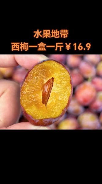 西梅图片多少钱一斤_西梅价格2024最新行情-第2张图片-山城妙识 西梅图片多少钱一斤_西梅价格2024最新行情-第2张图片-山城妙识