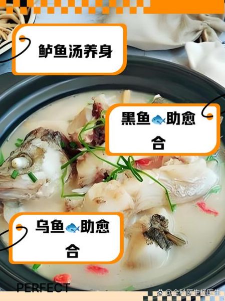 鱼汤手术后伤口愈合快_术后喝什么鱼汤恢复快-第2张图片-山城妙识