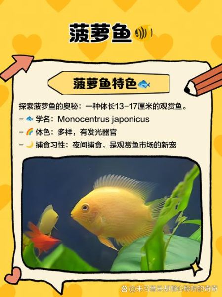 菠萝鱼品种大全_菠萝鱼怎么区分-第2张图片-山城妙识