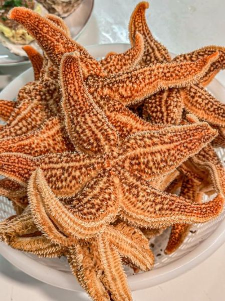 自助餐海星怎么吃_海星哪些部位能吃-第2张图片-山城妙识 自助餐海星怎么吃_海星哪些部位能吃-第2张图片-山城妙识