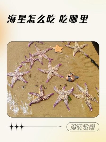 自助餐海星怎么吃_海星哪些部位能吃-第1张图片-山城妙识 自助餐海星怎么吃_海星哪些部位能吃-第1张图片-山城妙识