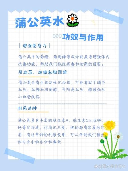 蒲公英泡水喝的害处_长期喝有什么副作用-第2张图片-山城妙识 蒲公英泡水喝的害处_长期喝有什么副作用-第2张图片-山城妙识