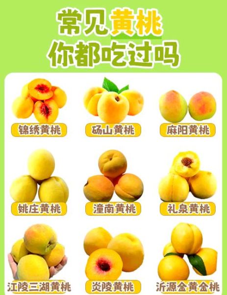 黄桃的热量是多少_减肥能吃黄桃吗-第1张图片-山城妙识 黄桃的热量是多少_减肥能吃黄桃吗-第1张图片-山城妙识