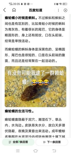 癞蛤蟆睡青蛙_癞蛤蟆和青蛙的区别-第1张图片-山城妙识 癞蛤蟆睡青蛙_癞蛤蟆和青蛙的区别-第1张图片-山城妙识