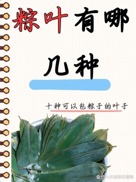 粽叶有哪几种_粽叶图片大全-第1张图片-山城妙识 粽叶有哪几种_粽叶图片大全-第1张图片-山城妙识