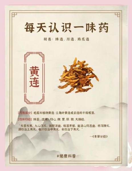 鸡子黄汤怎么做_鸡子黄汤的功效与作用-第3张图片-山城妙识 鸡子黄汤怎么做_鸡子黄汤的功效与作用-第3张图片-山城妙识