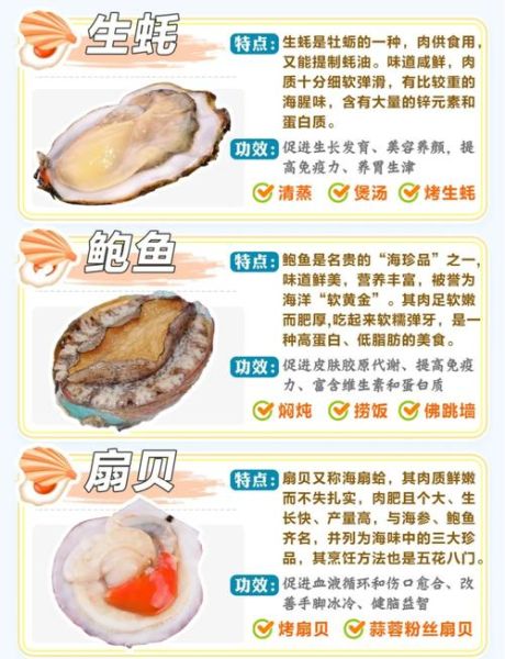 贝壳海鲜种类及名称图片_常见贝类如何挑选-第3张图片-山城妙识 贝壳海鲜种类及名称图片_常见贝类如何挑选-第3张图片-山城妙识