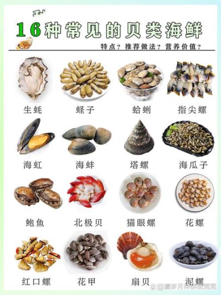 贝壳海鲜种类及名称图片_常见贝类如何挑选-第2张图片-山城妙识 贝壳海鲜种类及名称图片_常见贝类如何挑选-第2张图片-山城妙识