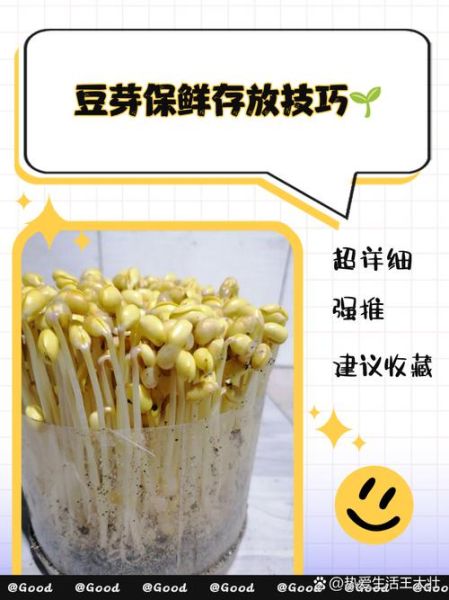 黄豆芽怎么保存不变绿_黄豆芽放冰箱不绿的方法-第1张图片-山城妙识