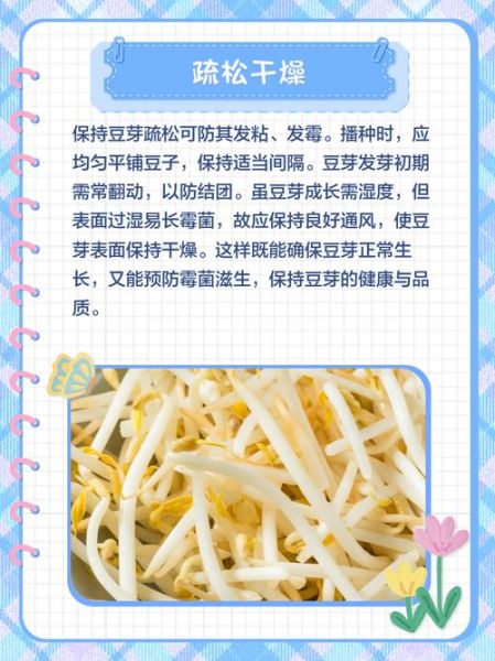 黄豆芽怎么保存不变绿_黄豆芽放冰箱不绿的方法-第3张图片-山城妙识