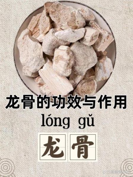 龙骨是什么中药_龙骨的功效与作用-第3张图片-山城妙识