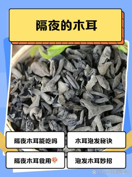 炒熟的木耳隔夜还能吃吗_木耳隔夜保存方法-第2张图片-山城妙识