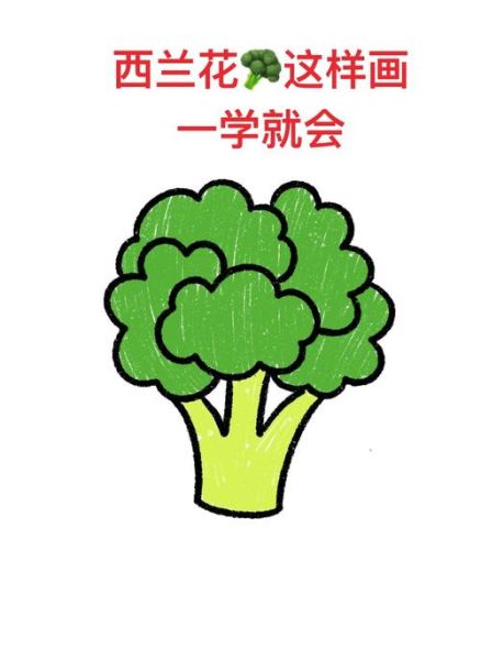 西兰花简笔画怎么画_西兰花涂色教程-第1张图片-山城妙识 西兰花简笔画怎么画_西兰花涂色教程-第1张图片-山城妙识