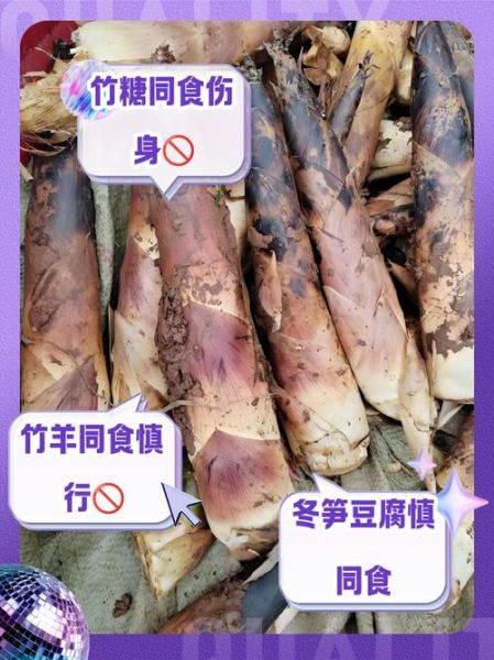 新鲜竹笋不能和什么一起吃_哪些人不能吃竹笋-第3张图片-山城妙识