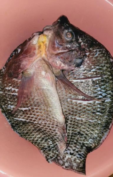 腊鱼干怎么腌制_腊鱼干晒多久才能吃-第3张图片-山城妙识 腊鱼干怎么腌制_腊鱼干晒多久才能吃-第3张图片-山城妙识