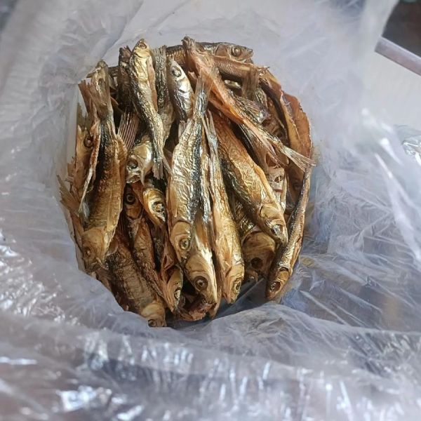 腊鱼干怎么腌制_腊鱼干晒多久才能吃-第1张图片-山城妙识 腊鱼干怎么腌制_腊鱼干晒多久才能吃-第1张图片-山城妙识