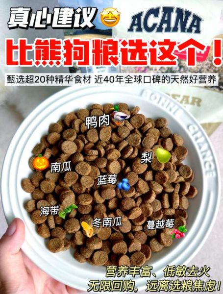 鸭肉梨是什么_鸭肉梨对狗狗好吗-第2张图片-山城妙识