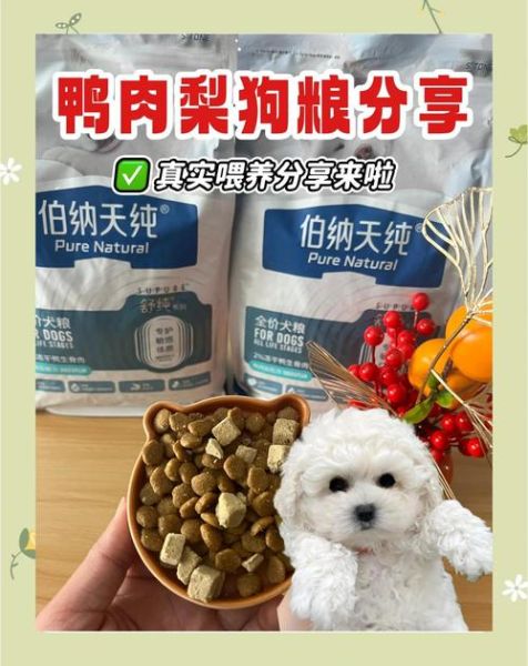 鸭肉梨是什么_鸭肉梨对狗狗好吗-第3张图片-山城妙识