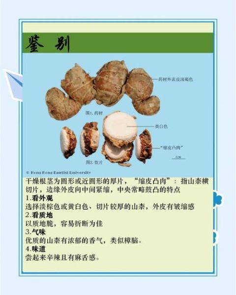 红沙姜的功效与作用_红沙姜怎么吃效果最好-第3张图片-山城妙识 红沙姜的功效与作用_红沙姜怎么吃效果最好-第3张图片-山城妙识